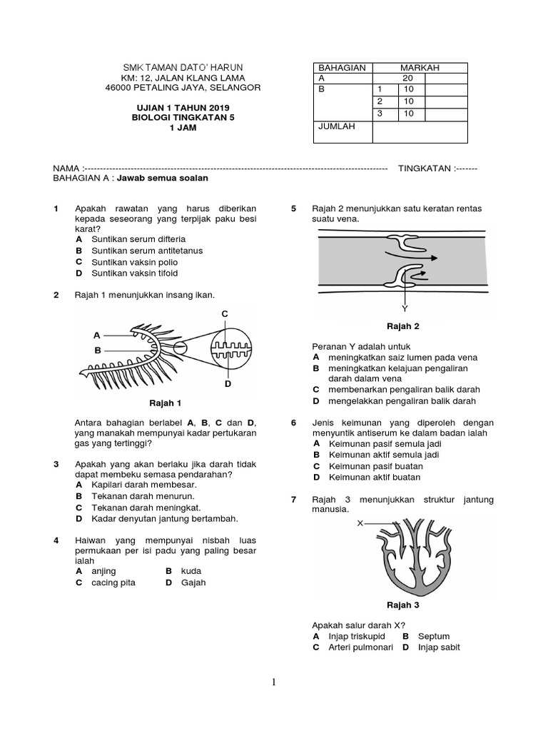 U1 Bio F5 2019 A | PDF