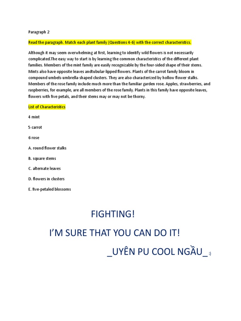 Ielts Paragraph 2 | PDF