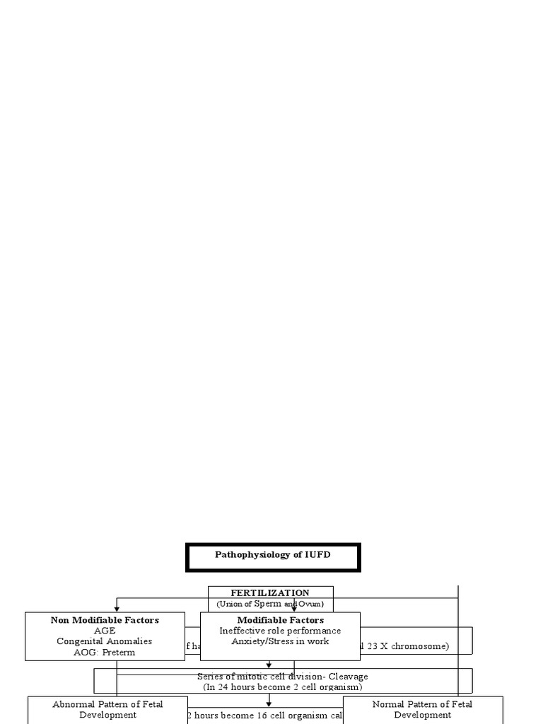 Pathophysiology of IUFD: Fertilization | PDF