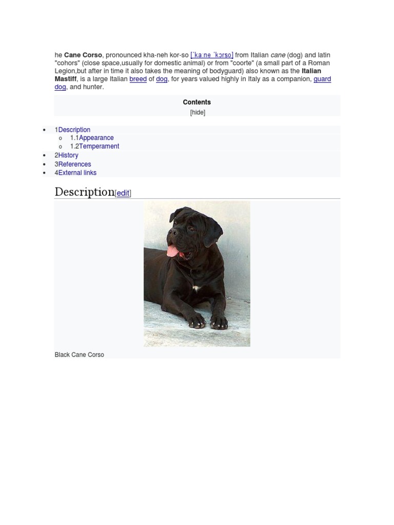 Cane Corso PDF | PDF | Dog Breeds | Mammal Breeds