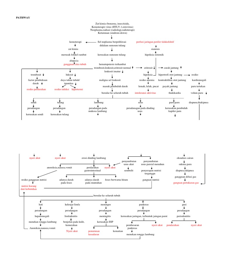 PATHWAY Leukimia | PDF