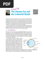 Human Eye | PDF | Eye | Human Eye