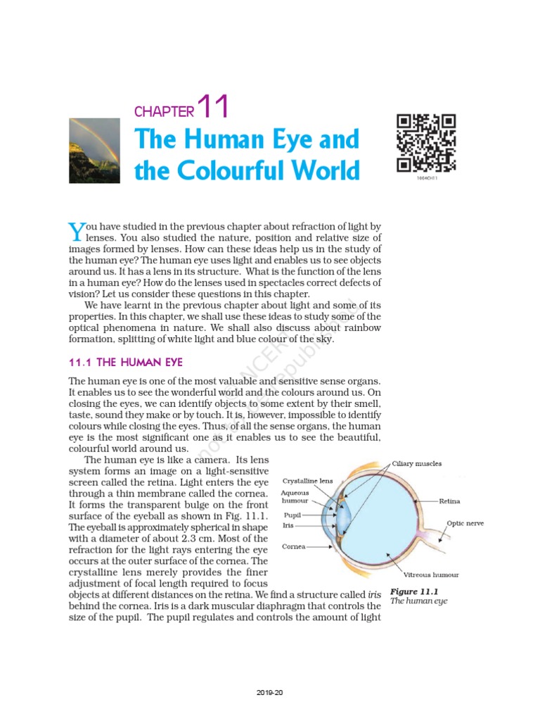 Human Eye Structure and Vision Defects | PDF | Rainbow | Prism