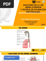 maniobra-burp-en-anestesiolog-a-pdf-laringe-medicina-clinica