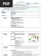 Detailed Lesson Plan On Food Chain | PDF | Foods | Plants