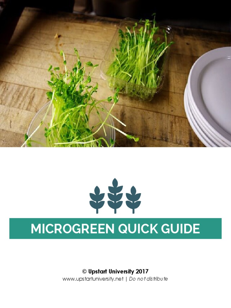 Microgreens Quick Guide | PDF | Seed | Germination