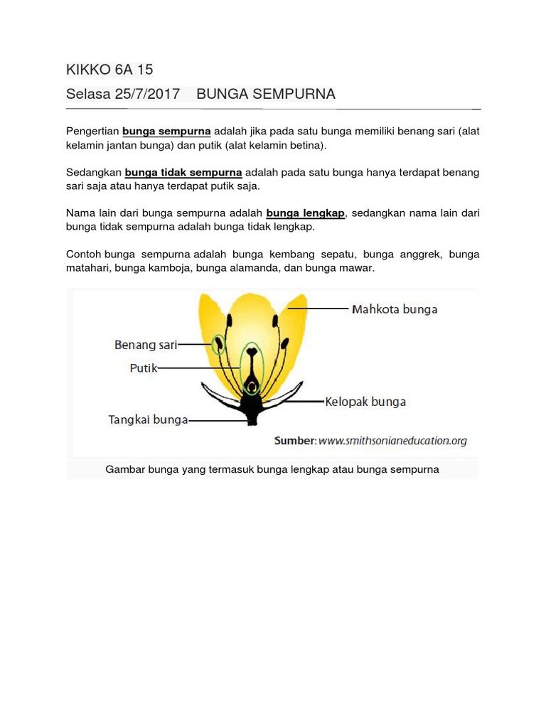 Bunga Sempurna | PDF