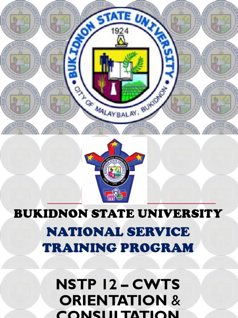 NSTP 12 - CWTS | PDF | Behavior Modification | Cognition