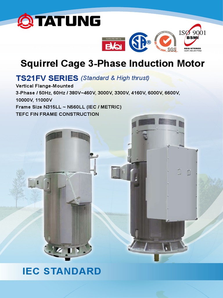 3-Phase Induction Motor | PDF | Electric Motor | Machines