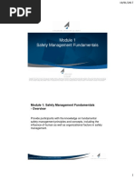 Icao Shell Model | PDF