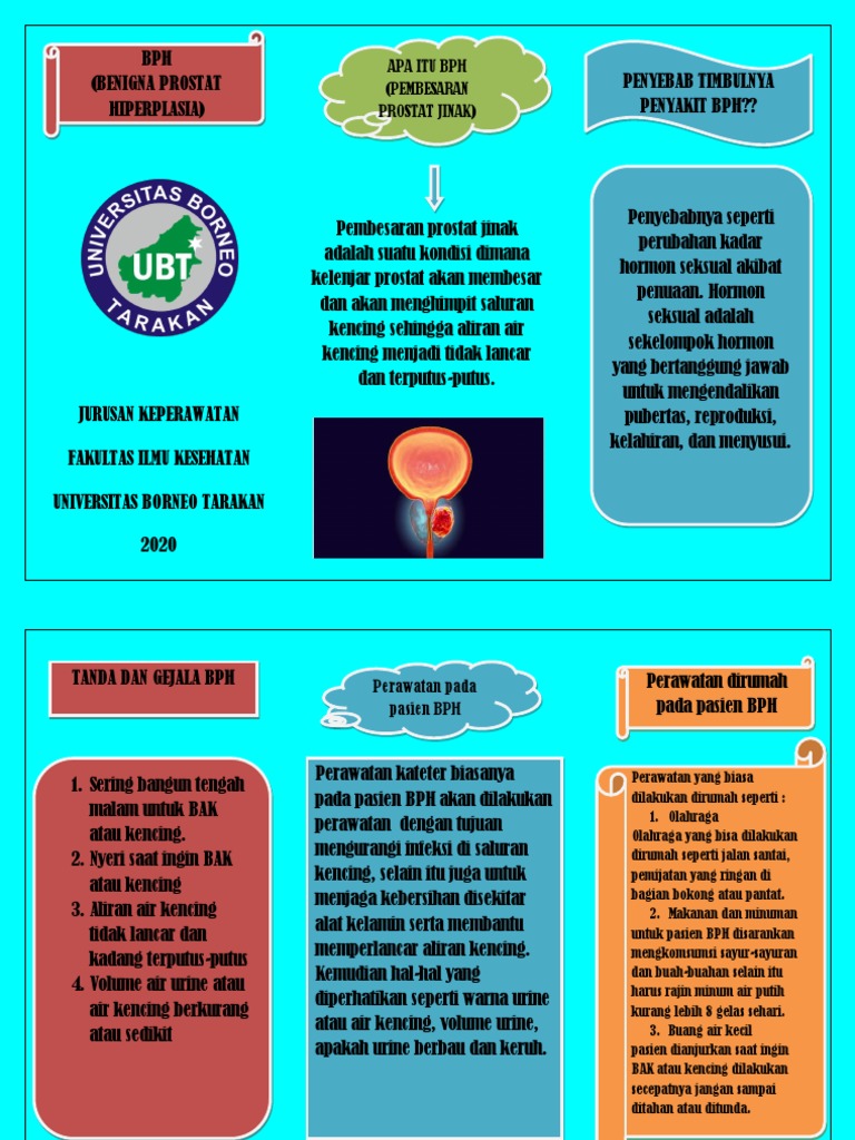 BPH: Pembesaran Prostat Jinak dan Penyebabnya | PDF