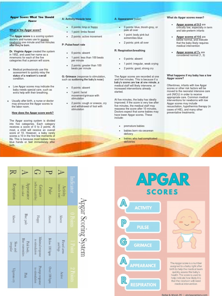 Apgar Score | PDF | Neonatal Intensive Care Unit | Childbirth