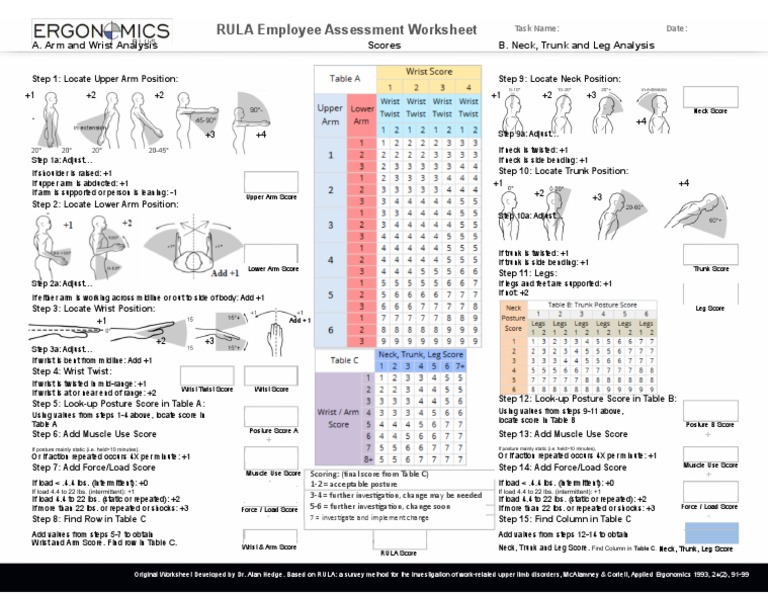 Tabel Rula | PDF | Arm | Anatomical Terms Of Motion