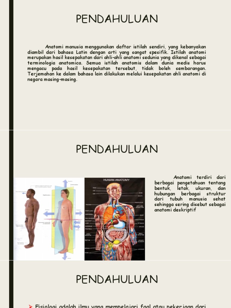 Pembagian Regio Anatomi Manusia | PDF | Kesehatan Holistik