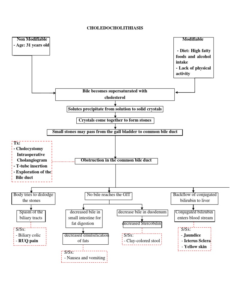 Choledocholithiasis PATHOPHYSIOLOGY | PDF