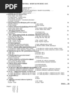 Exam Komparo 8 SJL B | PDF