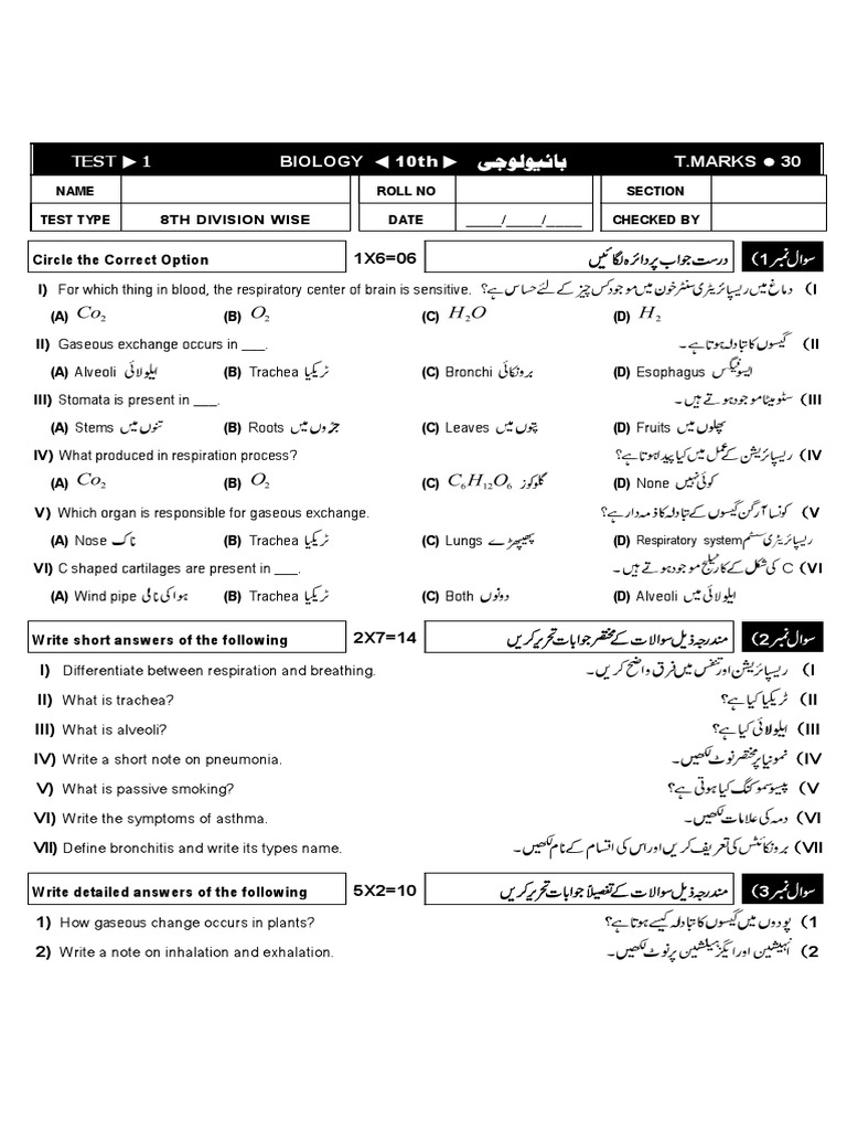 10th Biology Chapter Wise All Test | PDF | Kidney | Neuron