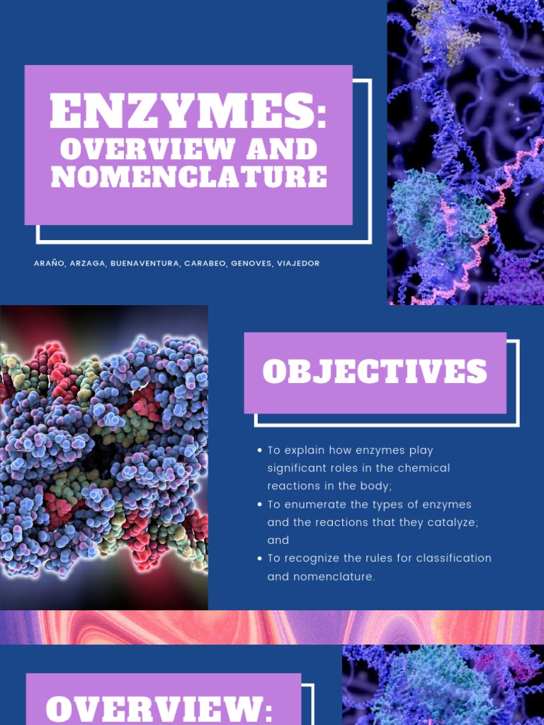 ENZYMES - Overview and Nomenclature | PDF | Enzyme | Catalysis