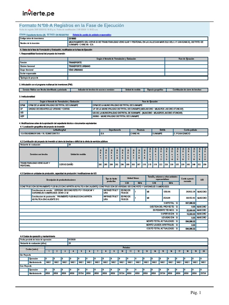 Formato - 8a - Reg. Fase de Ejecucion | PDF | Valor presente neto | Contabilidad de gestión
