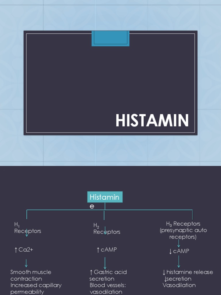 Antihistamin | PDF | Drugs | Medical Specialties
