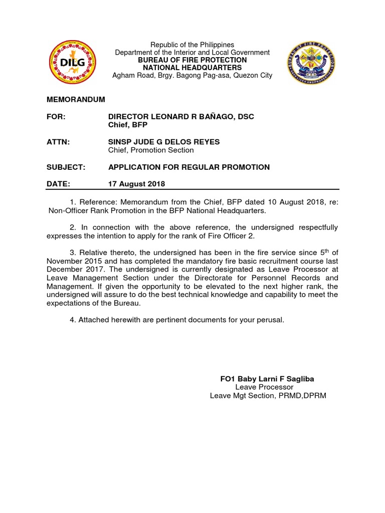 Application For Promotion | PDF