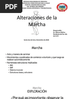 Marcha Trendelenburg: Análisis y Alteraciones | PDF | Pelvis | Sistema ...