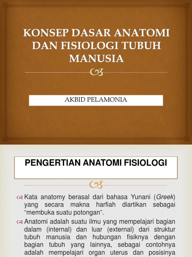 Konsep Dasar Anatomi Dan Fisiologi Tubuh Manusia