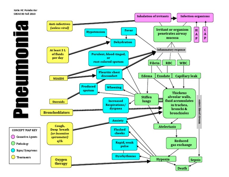 Nursing Concept Map for Pneumonia | PDF | Clinical Medicine ...