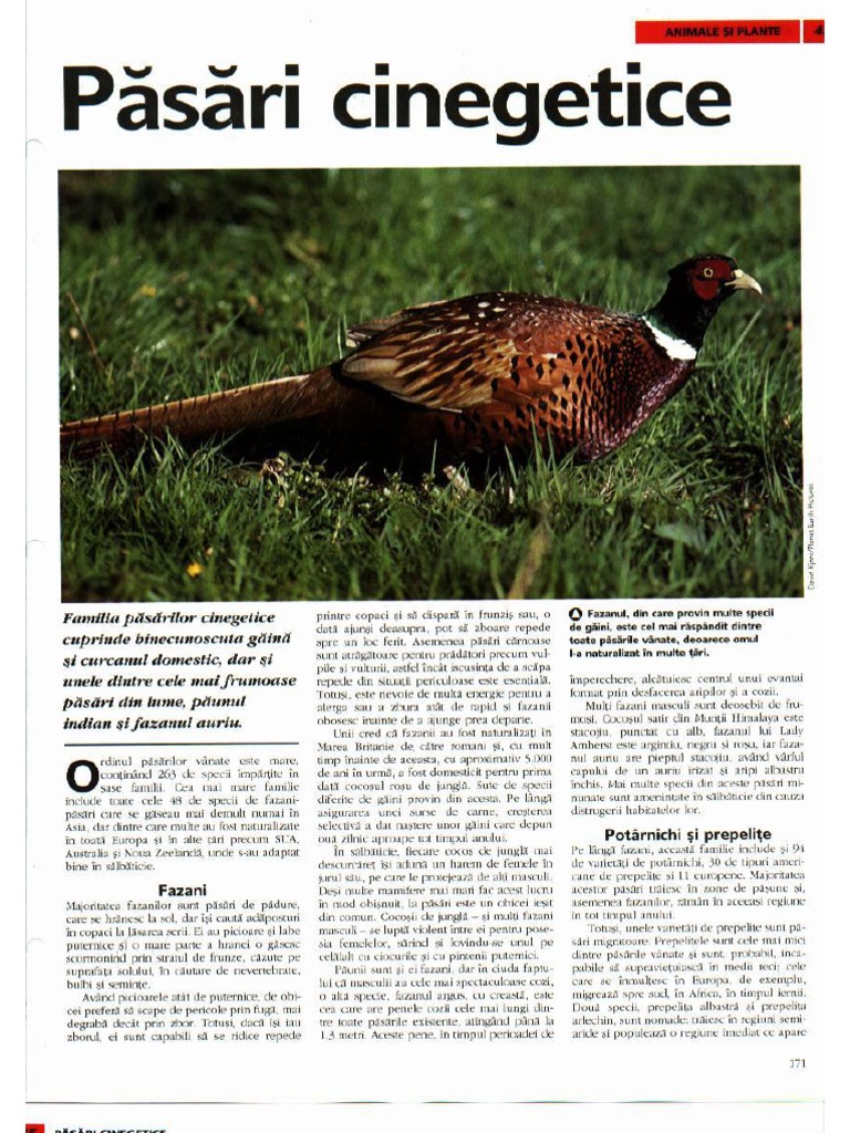 Arborele Lumii - Animale - Pasari Cinegetice | PDF