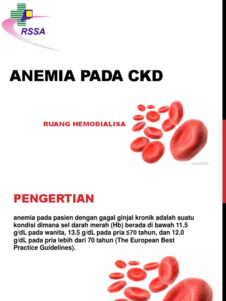 Anemia Pada CKD | PDF