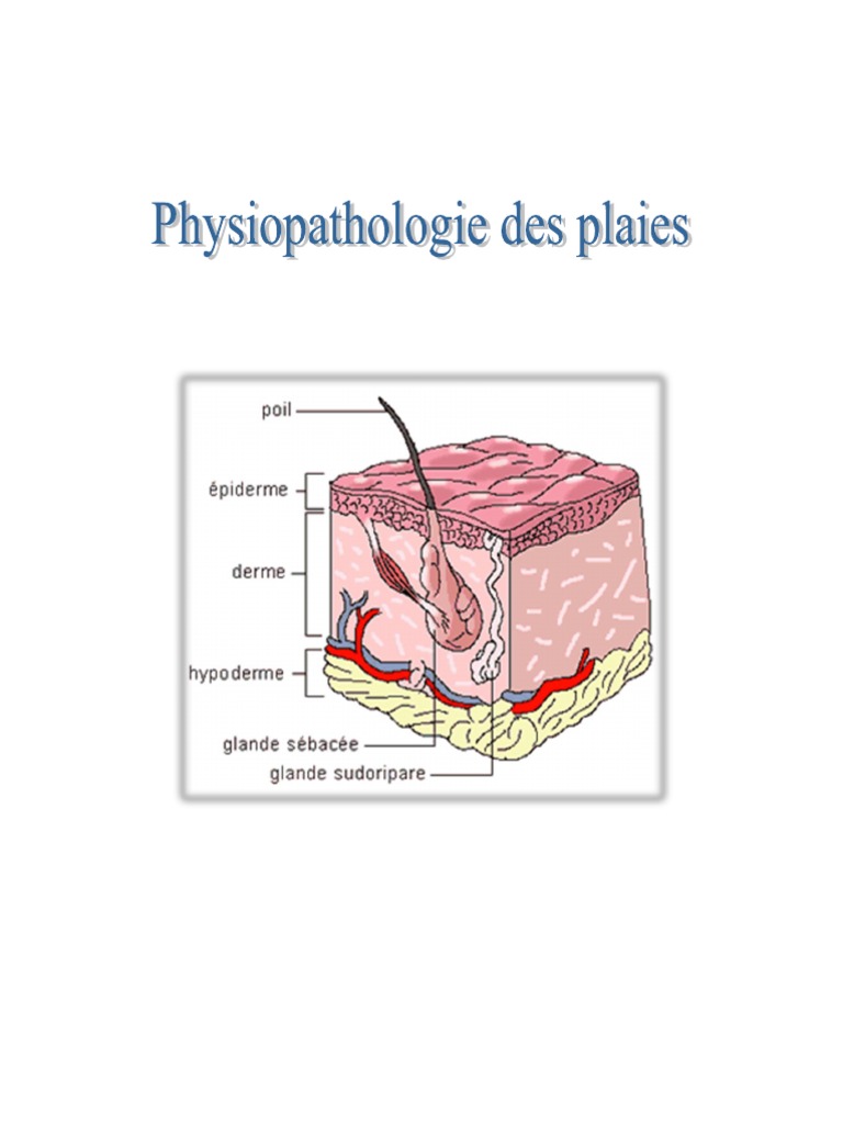 Physiopathologie des plaies | Inflammation | Plaie