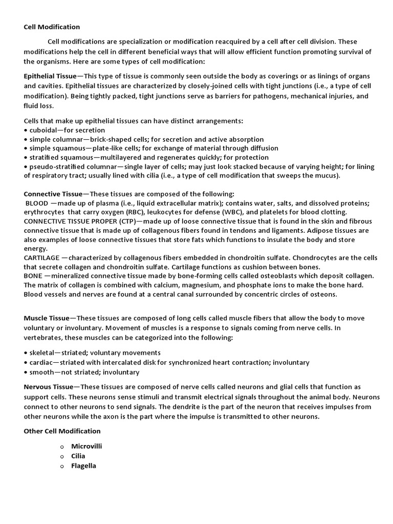 Cell Modification | Download Free PDF | Epithelium | Tissue (Biology)