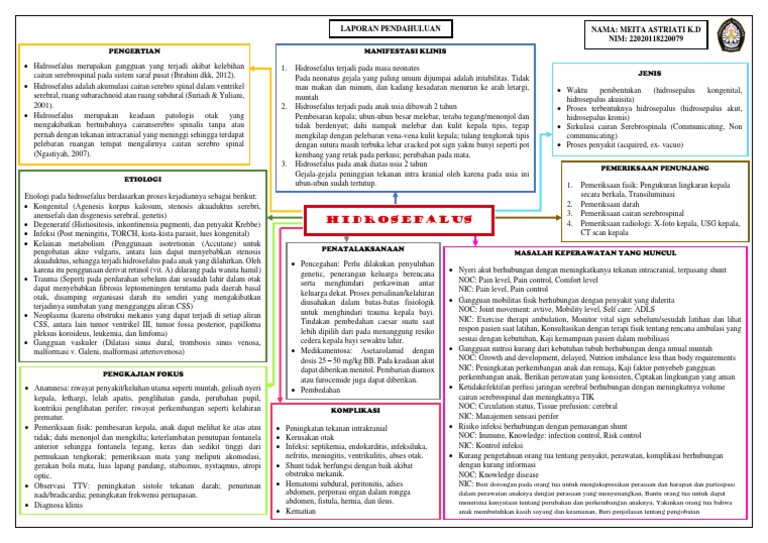 MIND MAP Anak LT Dasar Revisi | PDF