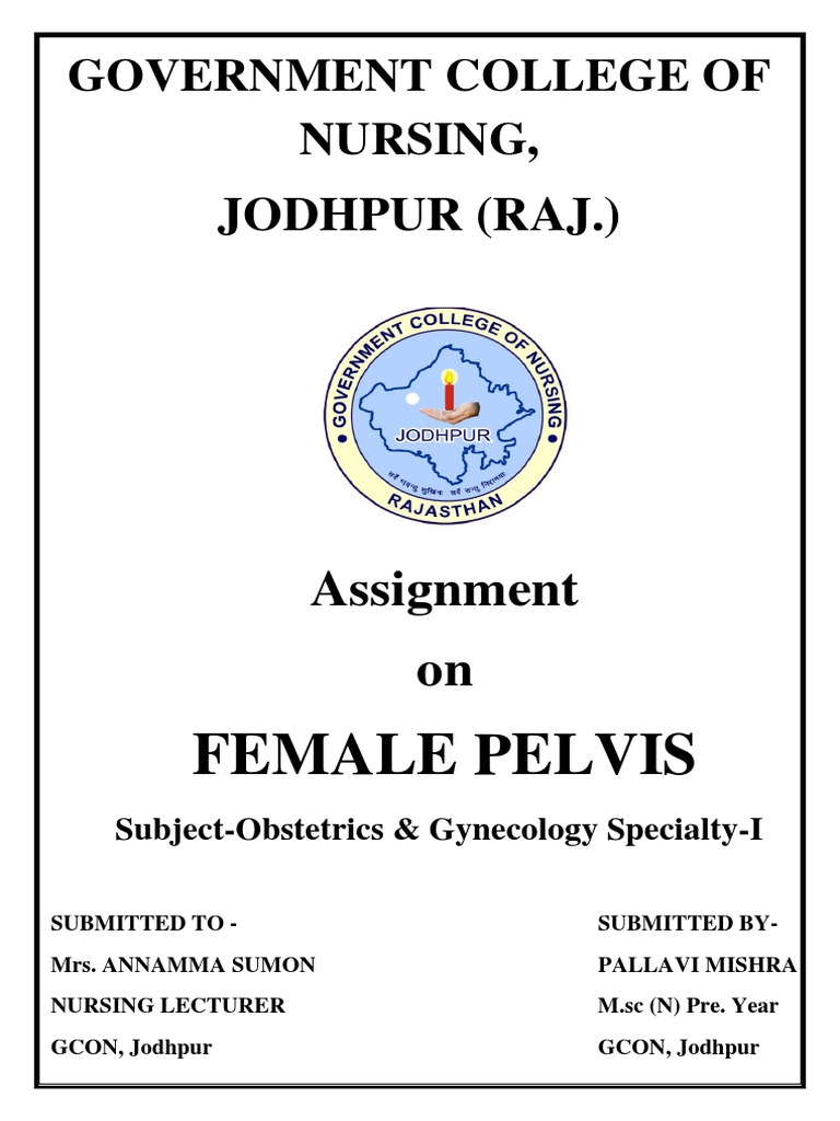 Assignment5 - Female Pelvis | PDF | Pelvis | Anatomy
