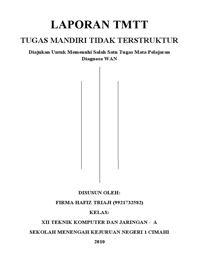 Laporan Diagnosa Wan TMTT (Tugas Mandiri Tidak Terstruktur) | PDF | Komputer