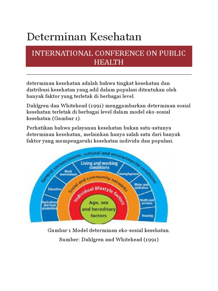 Determinan Kesehatan Pdf