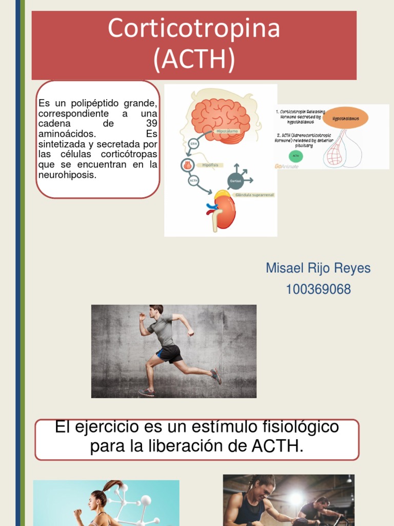ACTH | PDF