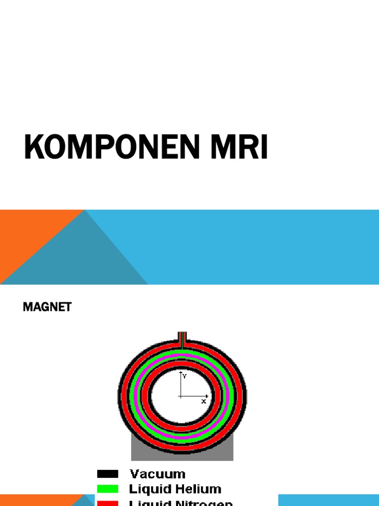 5-Komponen Mri | PDF