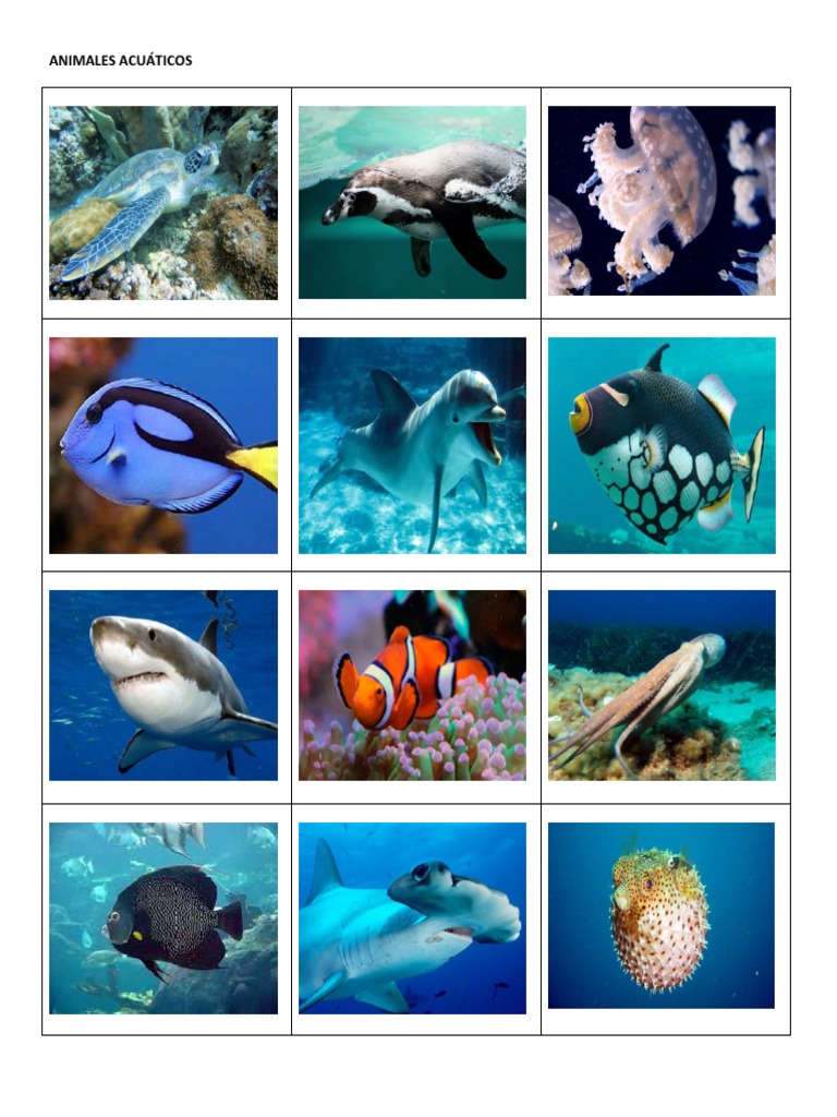 10 Animales Acuáticos Esenciales | PDF