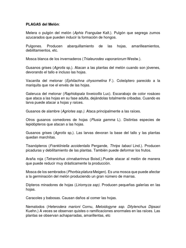 Plagas del Melón: Identificación y Daños | PDF | Sociedad de ...