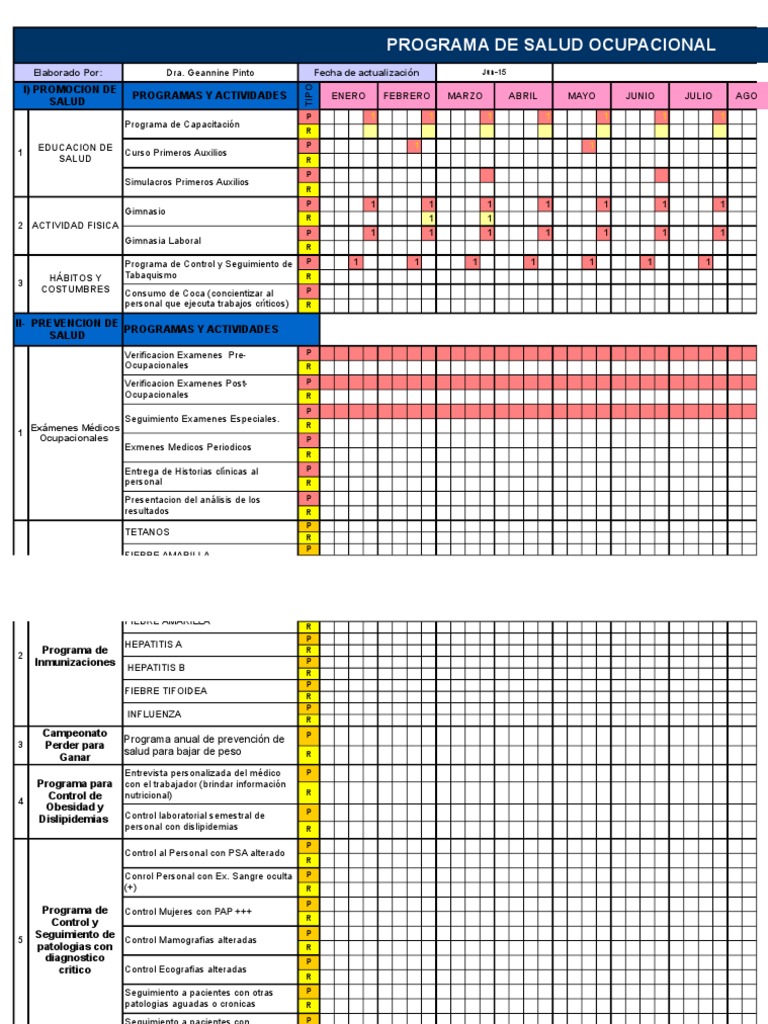 Modelo de Programa de SALUD OCUPACIONAL | PDF | Especialidades Medicas | Medicina