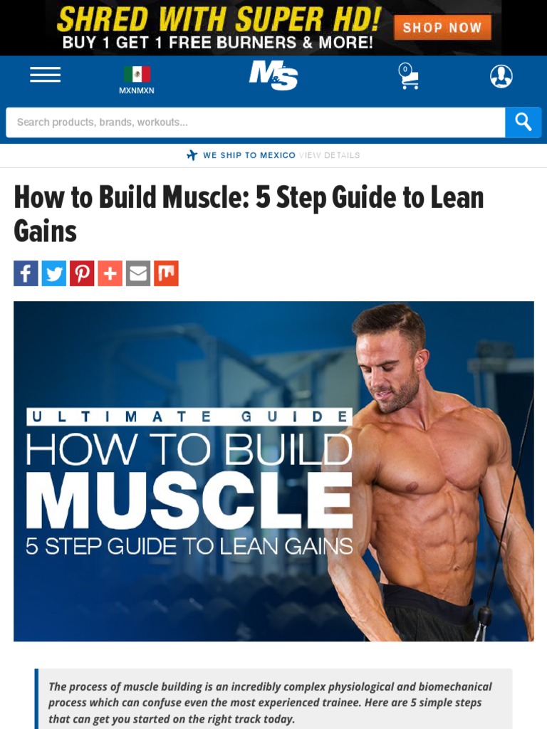 How To Build Muscle: Workouts, Diet Plans & Supplements | PDF ...