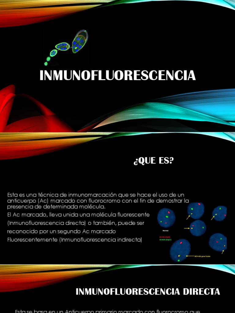 Técnicas de Inmunofluorescencia | PDF | Inmunofluorescencia | Ciencias ...