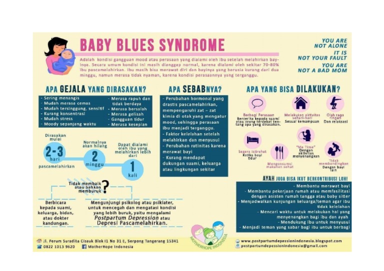 Leaflet Baby Blues | PDF