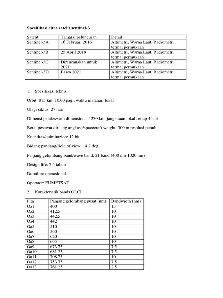 Spesifikasi Citra Satelit | PDF