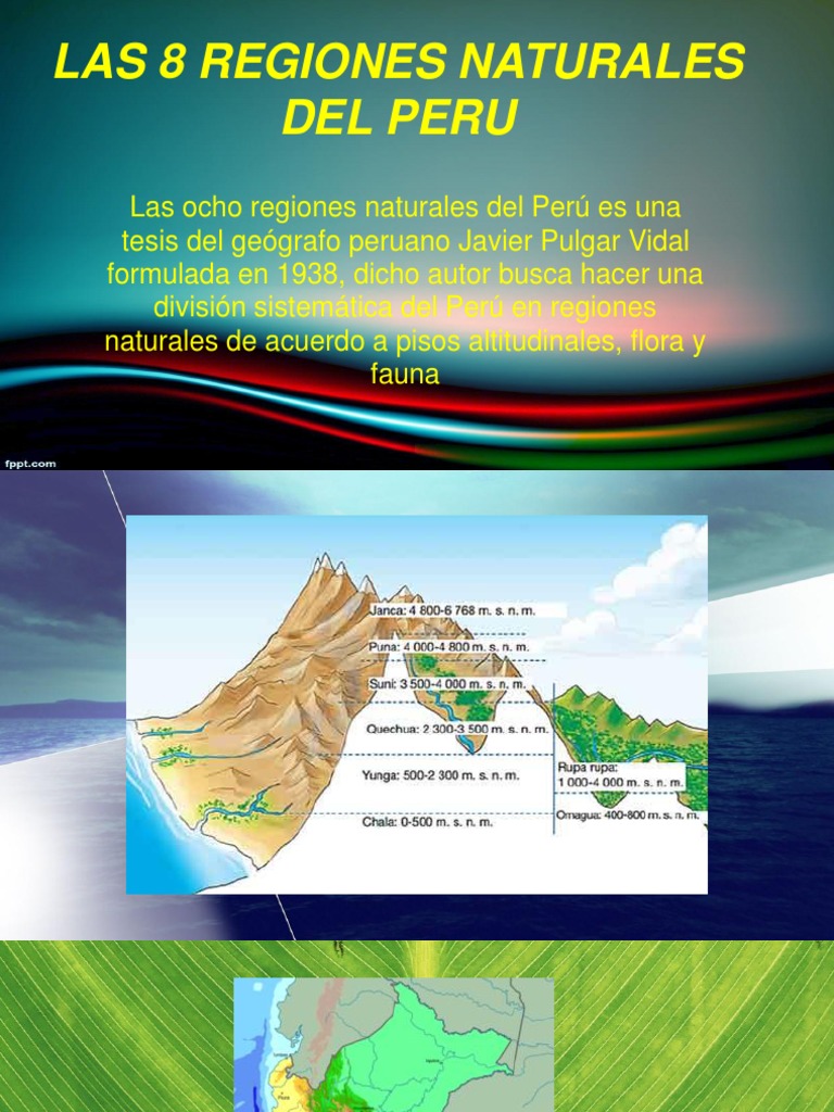 Las 8 Regiones Naturales Del Peru | PDF | Geografía Física | Ciencias ...