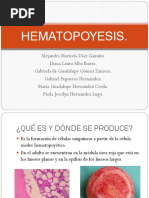 CODOCITOS | PDF | Glóbulo rojo | Sangre