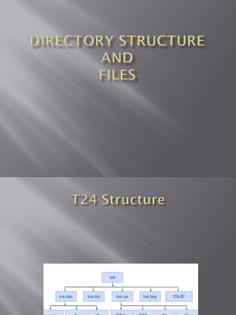 Directory Structure Of T24 Pdf