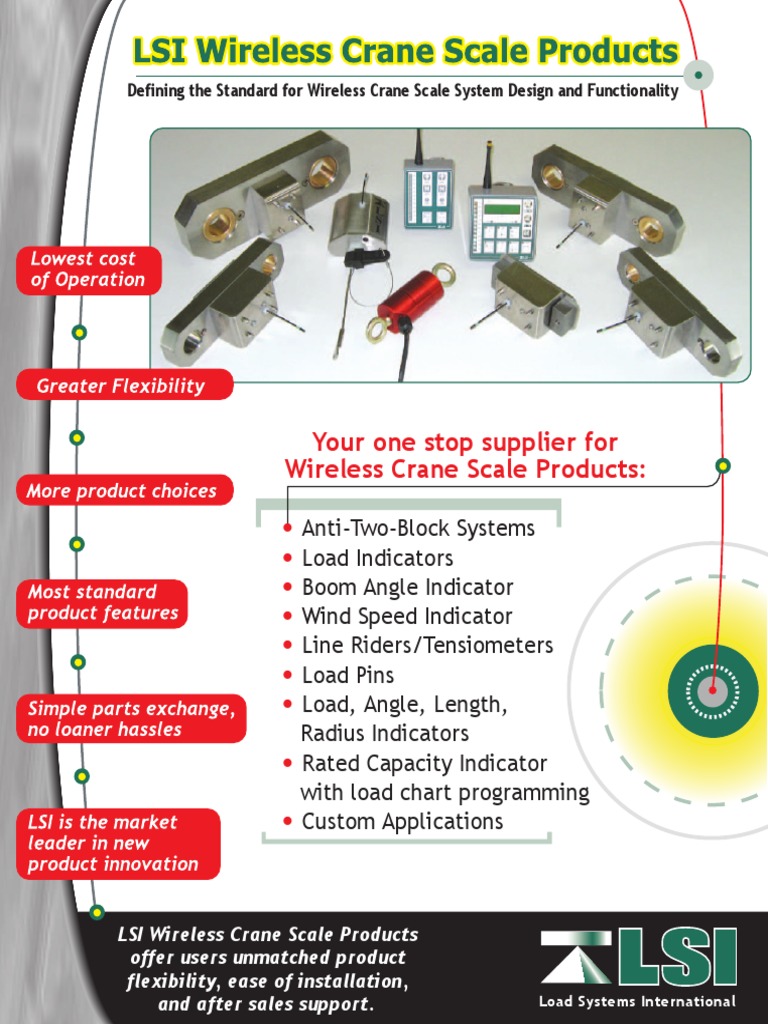 LSI Product Overview | PDF | Crane (Machine) | Electronics