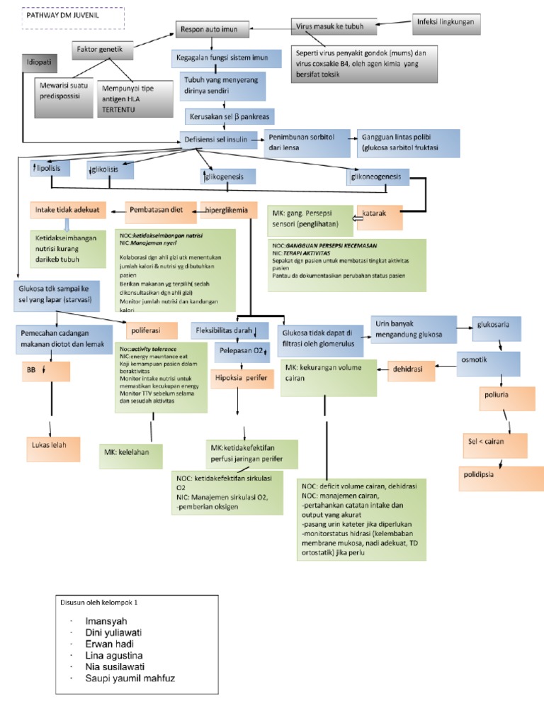 Pathway DM Juvenil Kep Anak | PDF